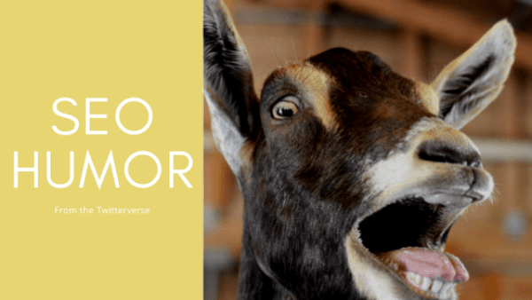 SEO Humor from the Twitterverse - Funny SEO Memes and Moments | Nozzle